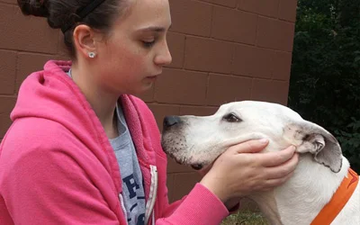 Become A Volunteer — The Animal Refuge Center (ARC)