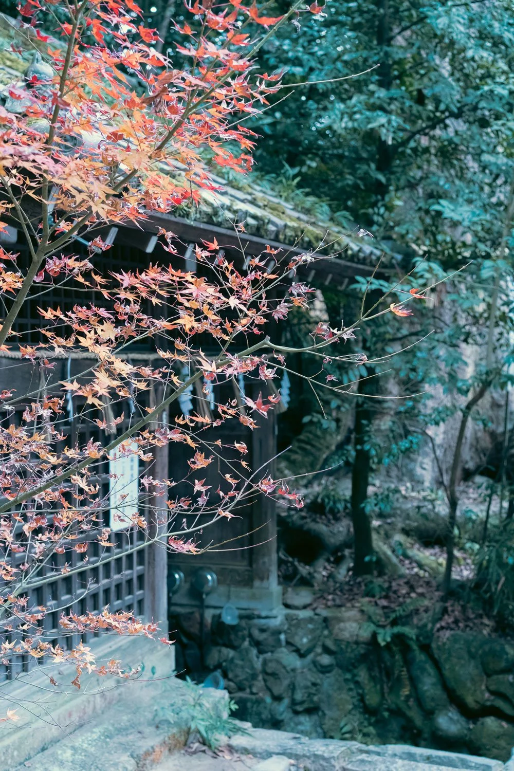 DAY TRIP TO UJI || Home of the Famous Uji Green Tea and a Peaceful ...