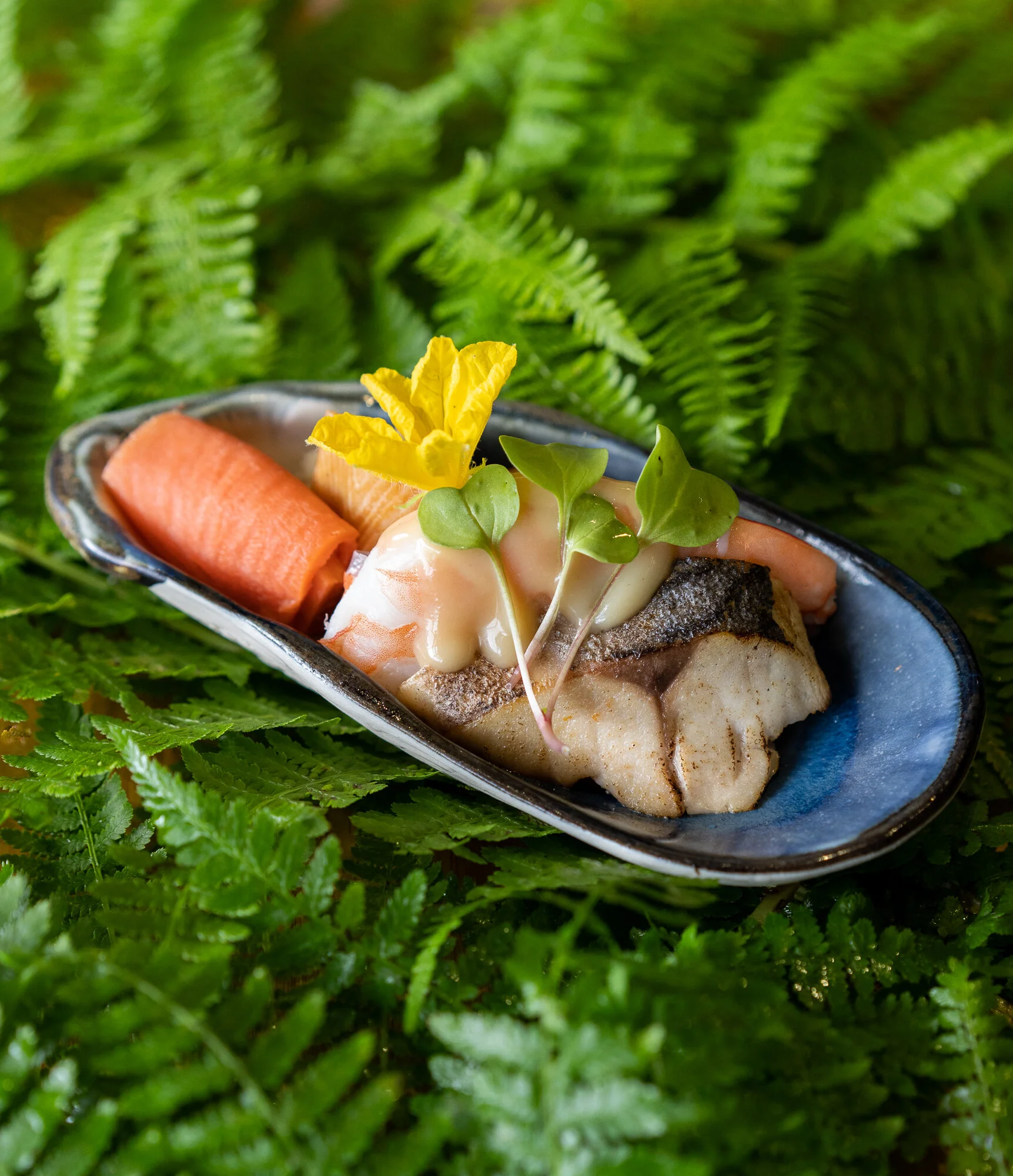 TOJO'S RESTAURANT || The Place to Discover Authentic Traditional ...