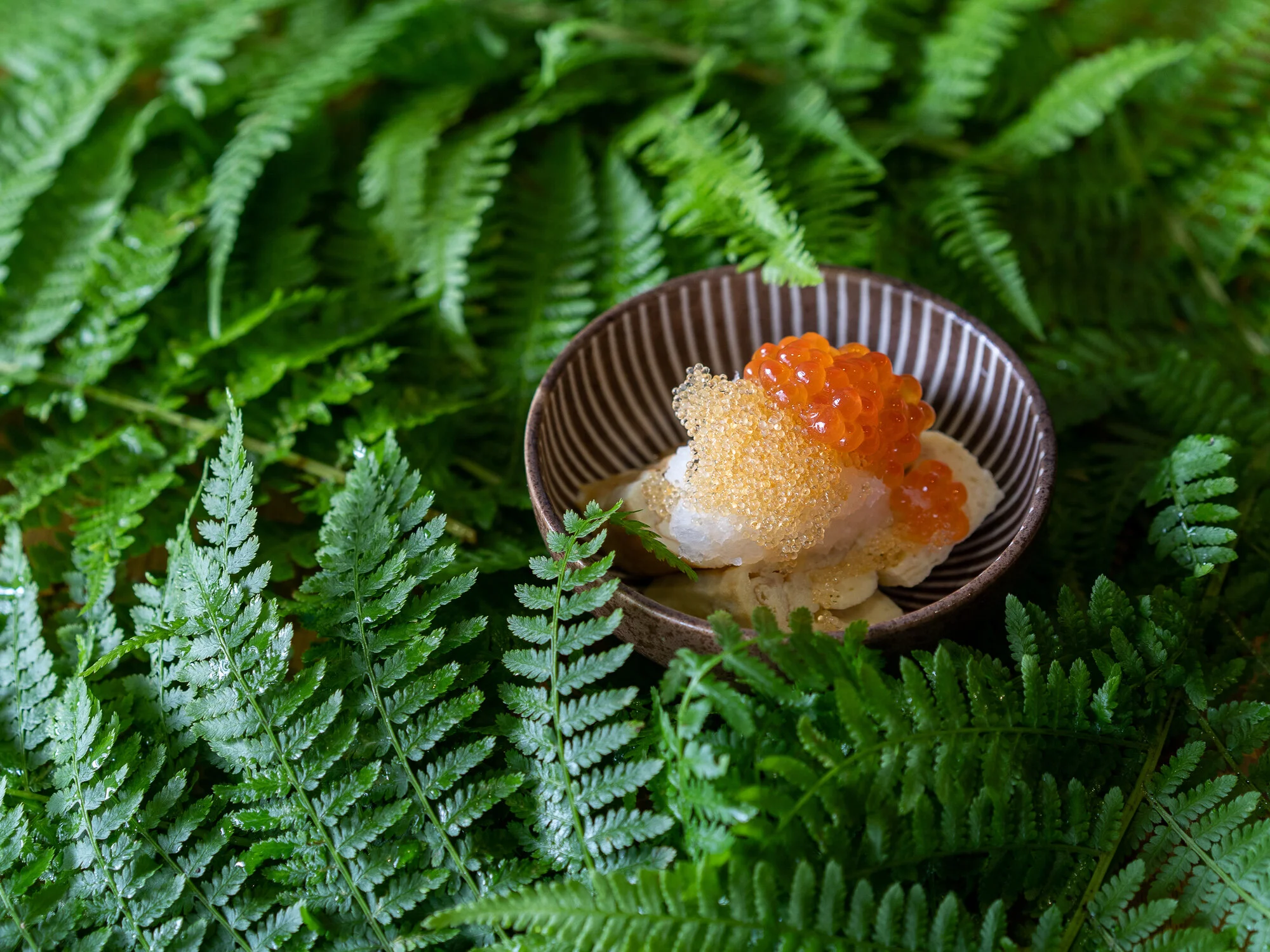 TOJO'S RESTAURANT || The Place to Discover Authentic Traditional ...