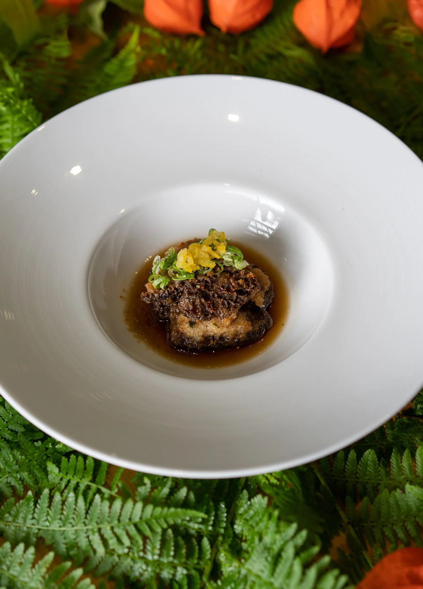 TOJO'S RESTAURANT || The Place to Discover Authentic Traditional ...