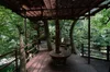 STAYCATION SERIES || Sustainable Luxury Treehouse EcoResort in Northern ...