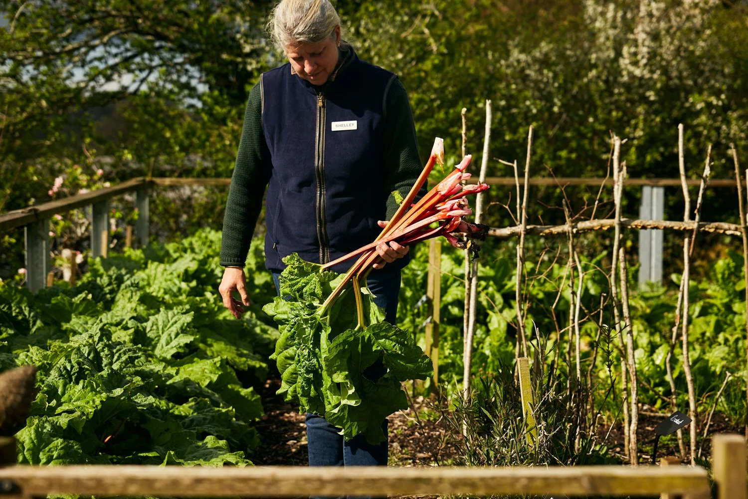 FOWLESCOMBE FARM || Where Luxury Meets the Gentle Art of Slow Living in ...
