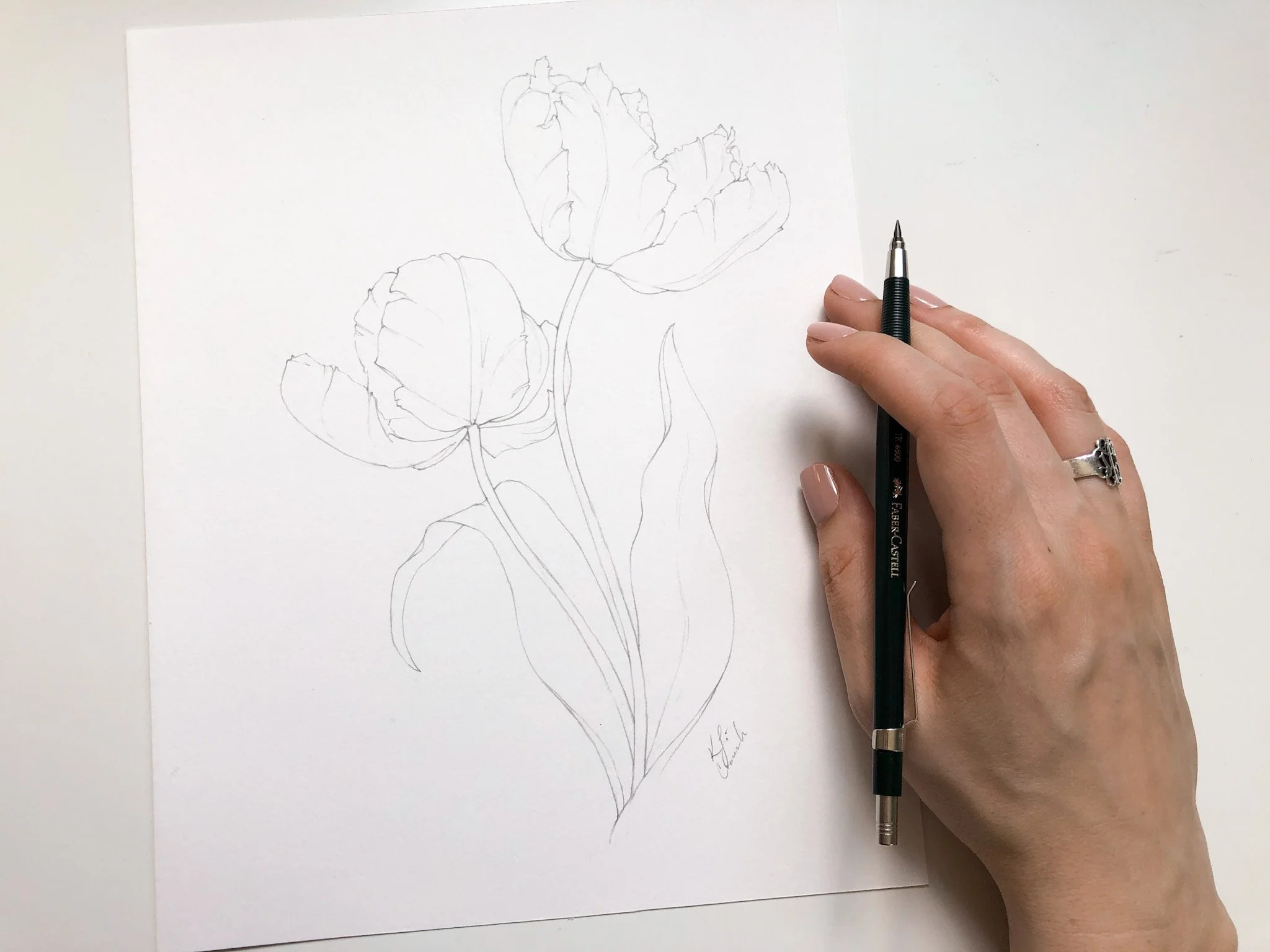 Flower Drawing - FREE — Katrina Crouch Art