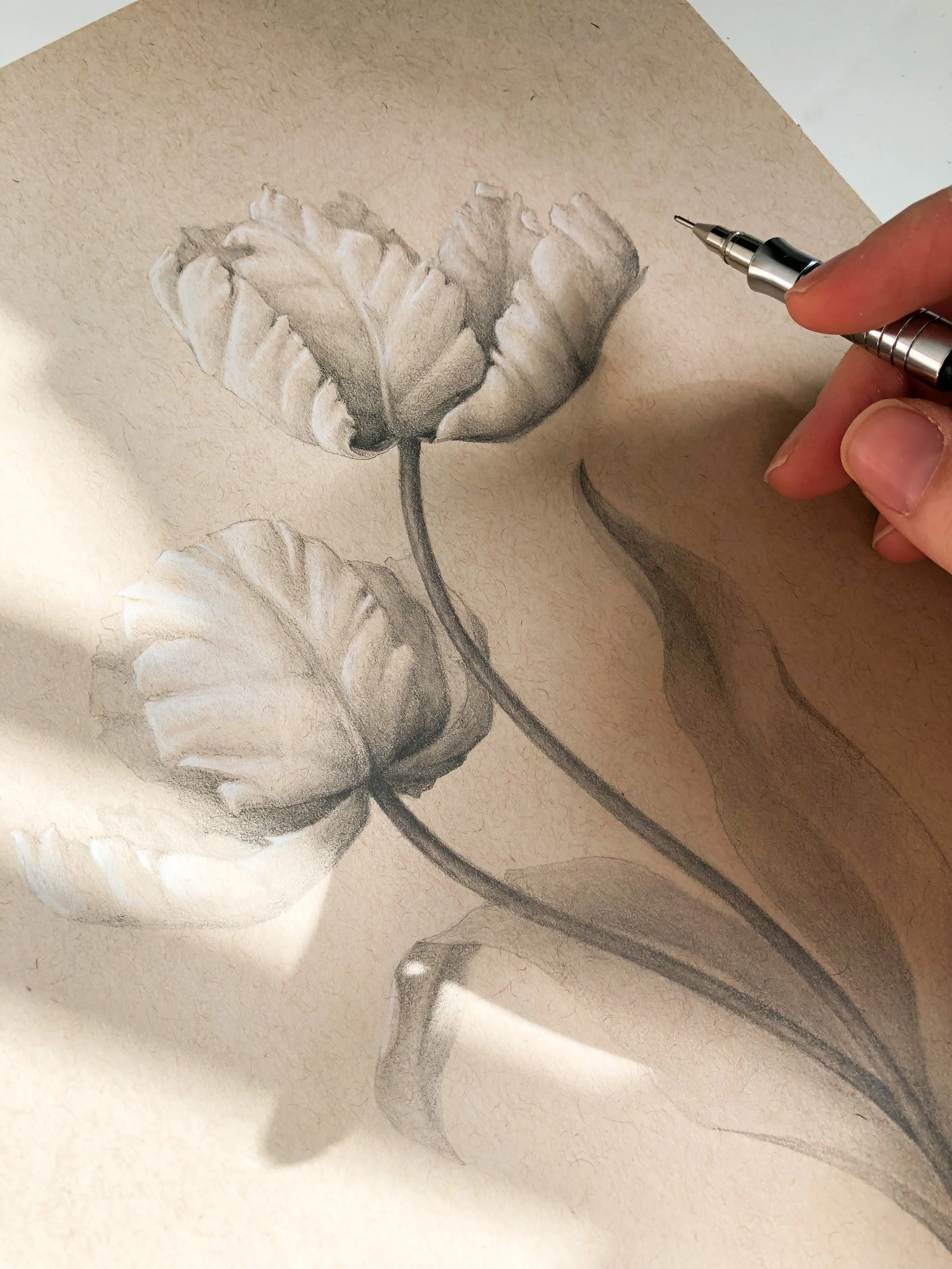 Shop — Katrina Crouch | Blushed Design