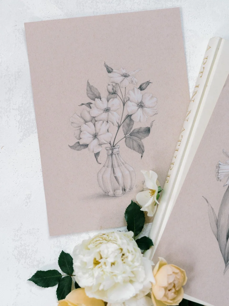 Shop — Katrina Crouch | Blushed Design