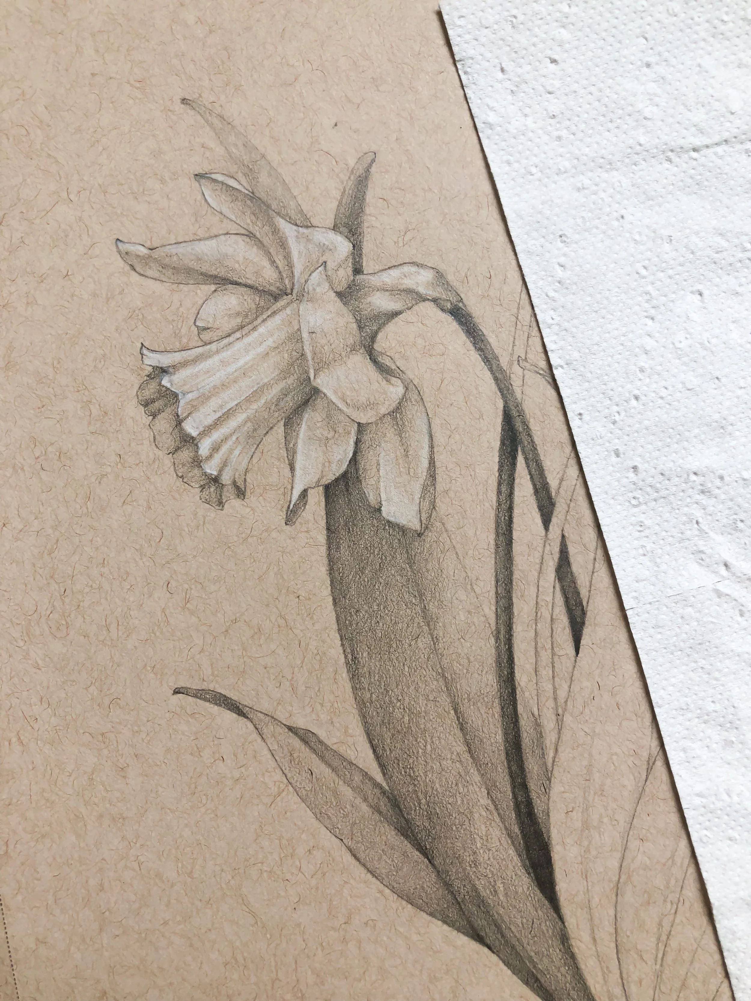 Shop — Katrina Crouch | Blushed Design