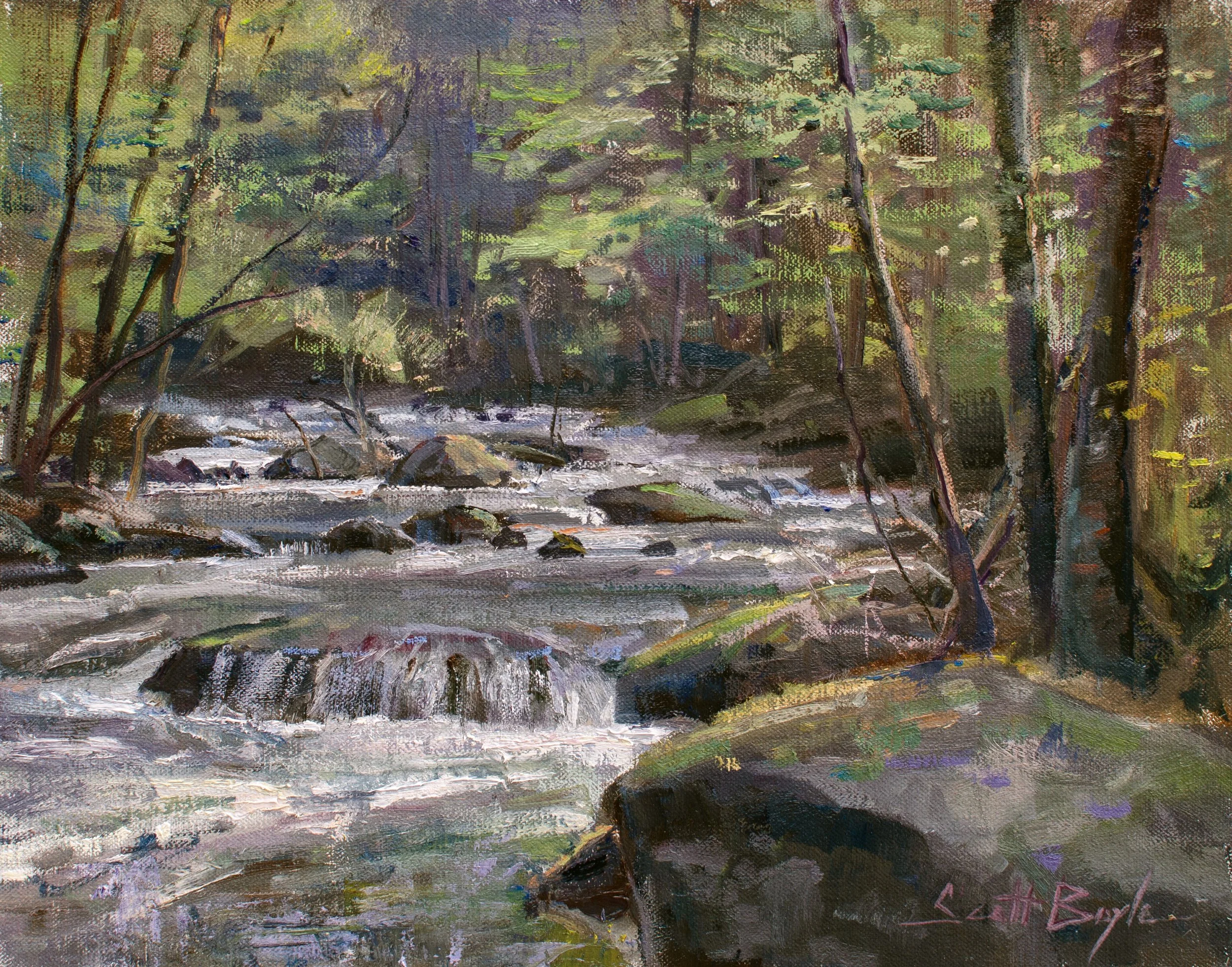 Scott Boyle Fine Art StudiosScott Boyle | Fine Art Sudios