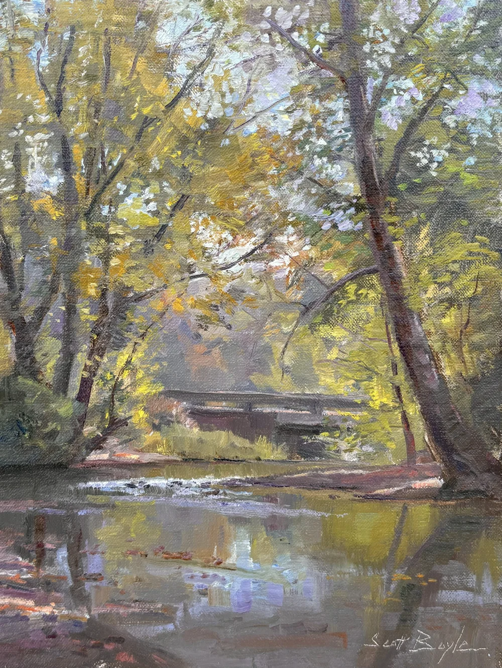 Scott Boyle Fine Art StudiosScott Boyle | Fine Art Sudios