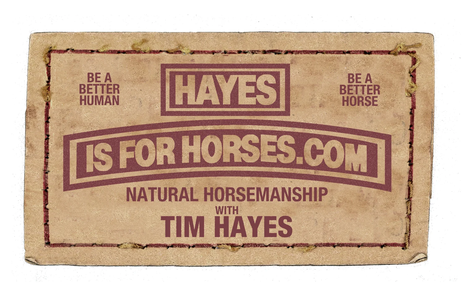 About Tim Hayes, Natural Horsemanship — Hayes is for Horses