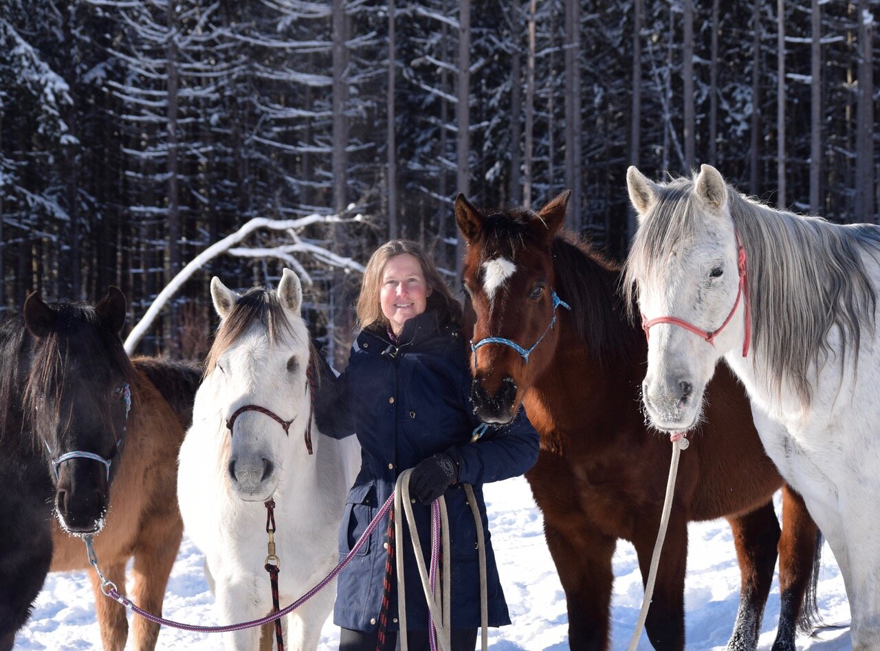 About Tim Hayes, Natural Horsemanship — Hayes is for Horses