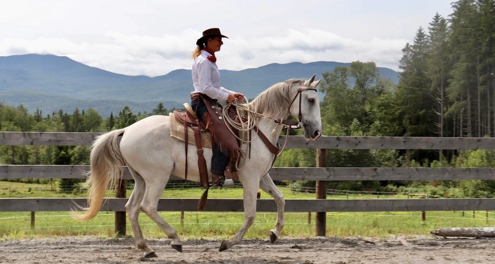 About Tim Hayes, Natural Horsemanship — Hayes is for Horses