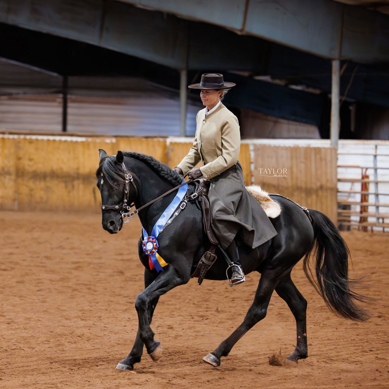 About Tim Hayes, Natural Horsemanship — Hayes is for Horses