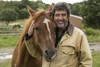 Hayes is for Horses