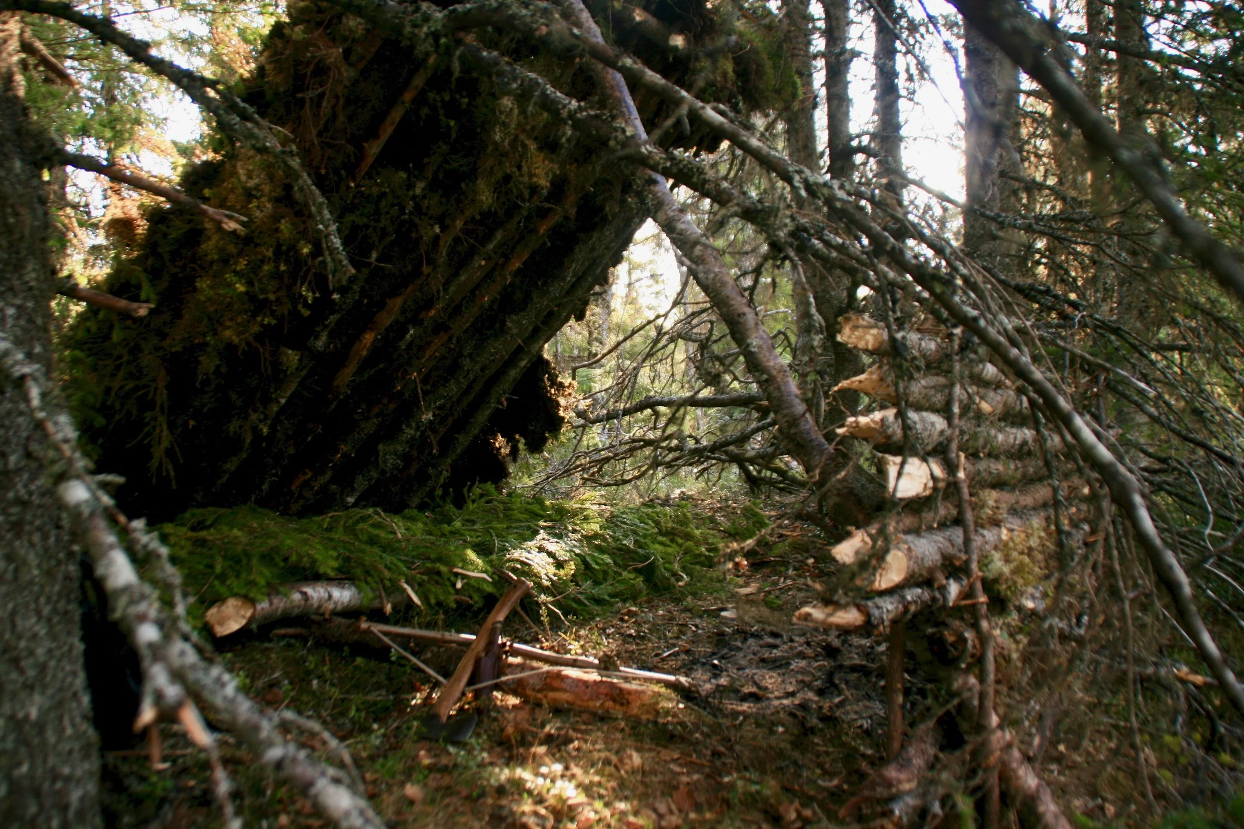 2-Day Bushcraft & Survival Course Near Stockholm | True Nature Sweden