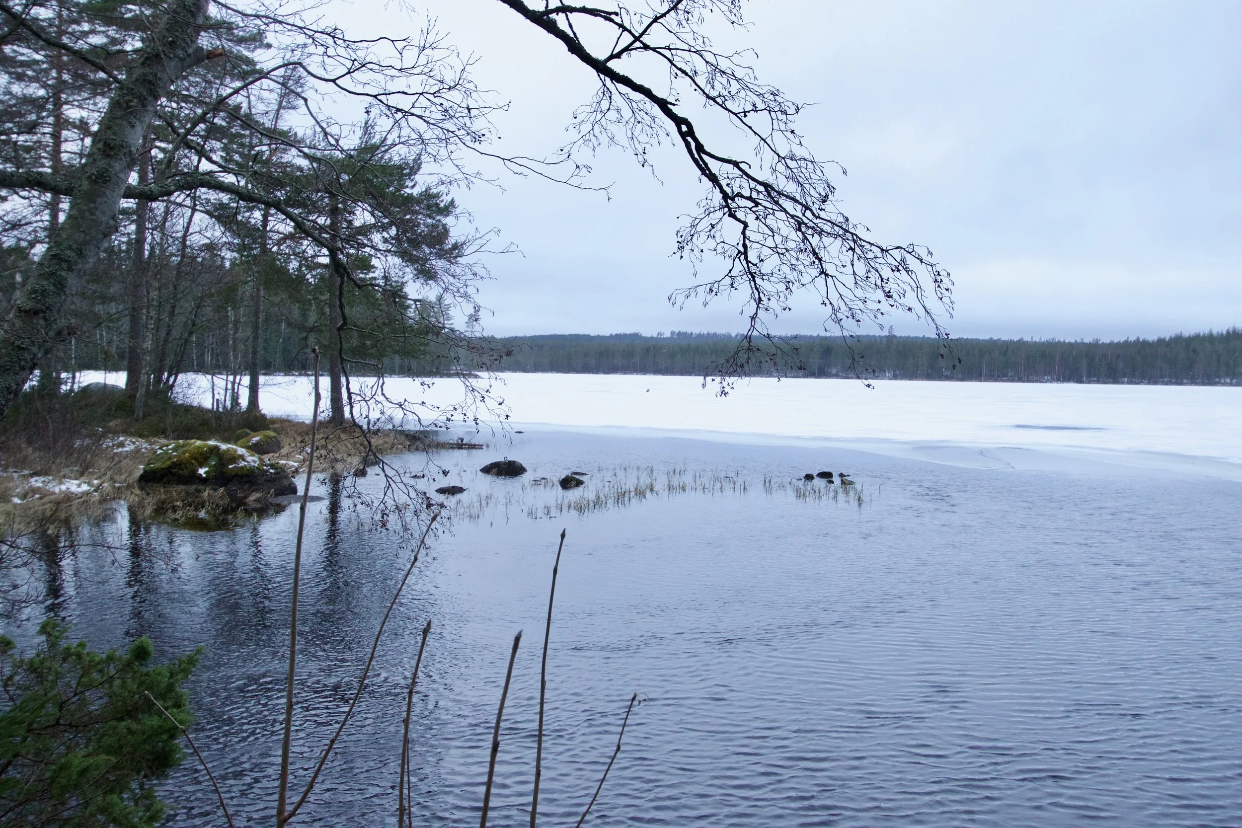 Stockholm Hiking Tours and Camping with Guide | True Nature Sweden