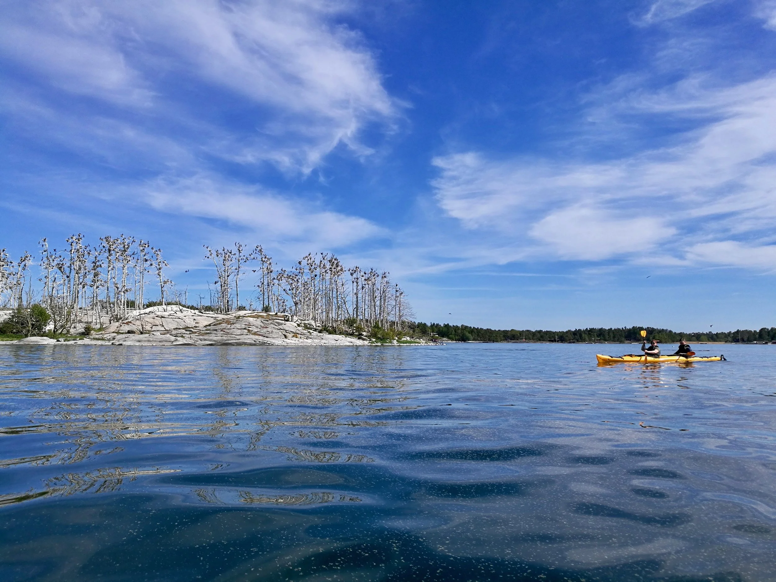 Kayaking in Stockholm Archipelago | Guided Kayak Archipelago Tours ...