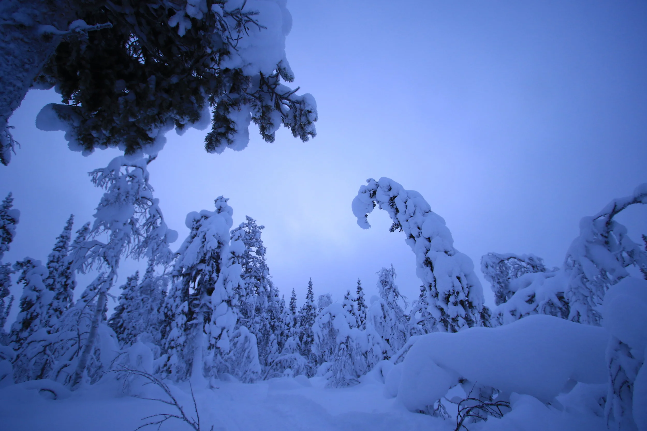 Stockholm Nature Tours | Guided Hiking Walking Tours