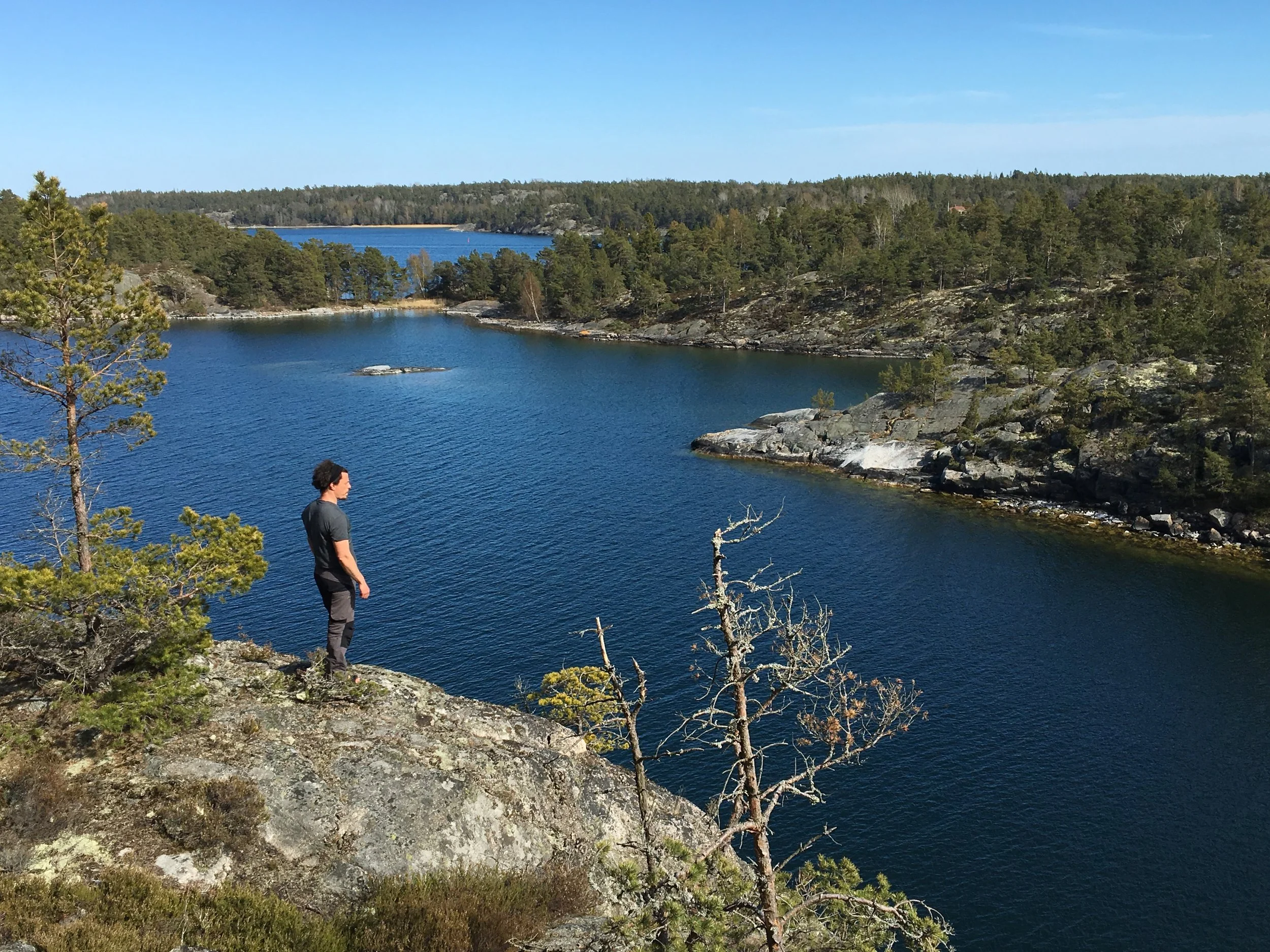 Wildlife Safari in Stockholm | Swedish wildlife | True Nature Sweden