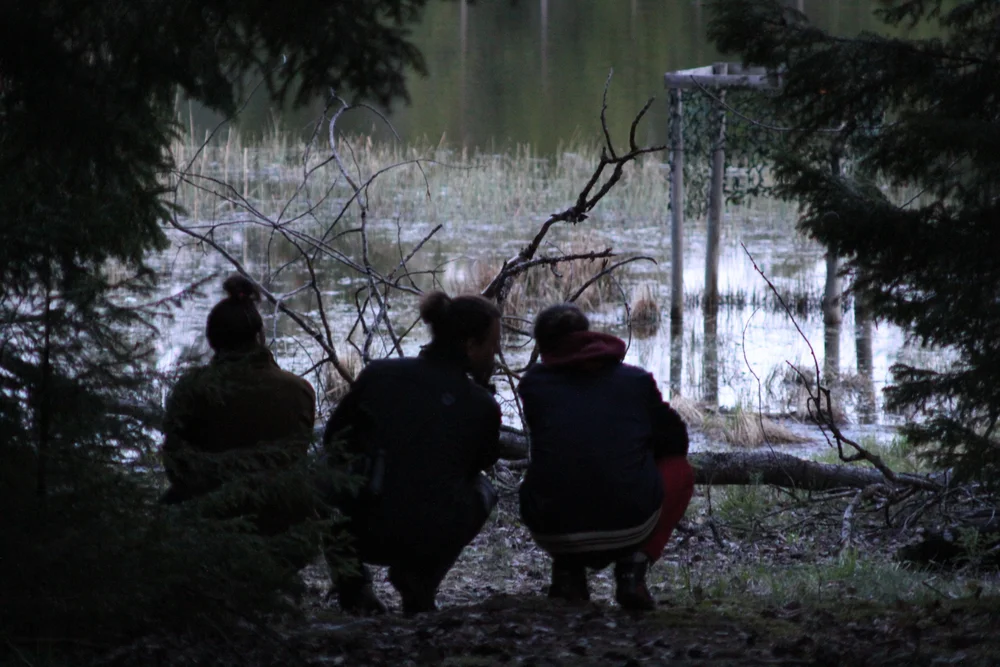 Wildlife Safari in Stockholm | Swedish wildlife | True Nature Sweden