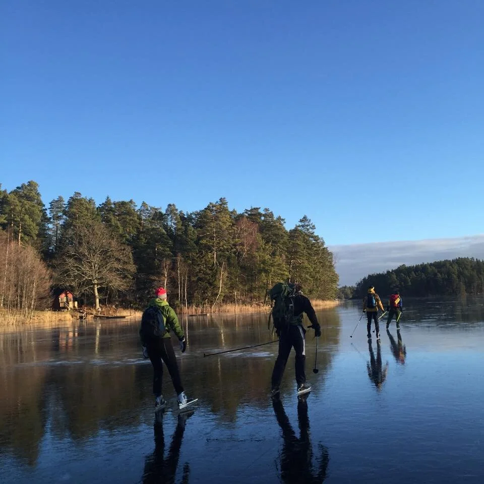Swedish Nature Tours Guide and Trip to Sweden