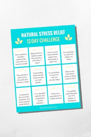 A Busy Girl’s Guide to Natural Stress Relief — Counseling for Stress ...