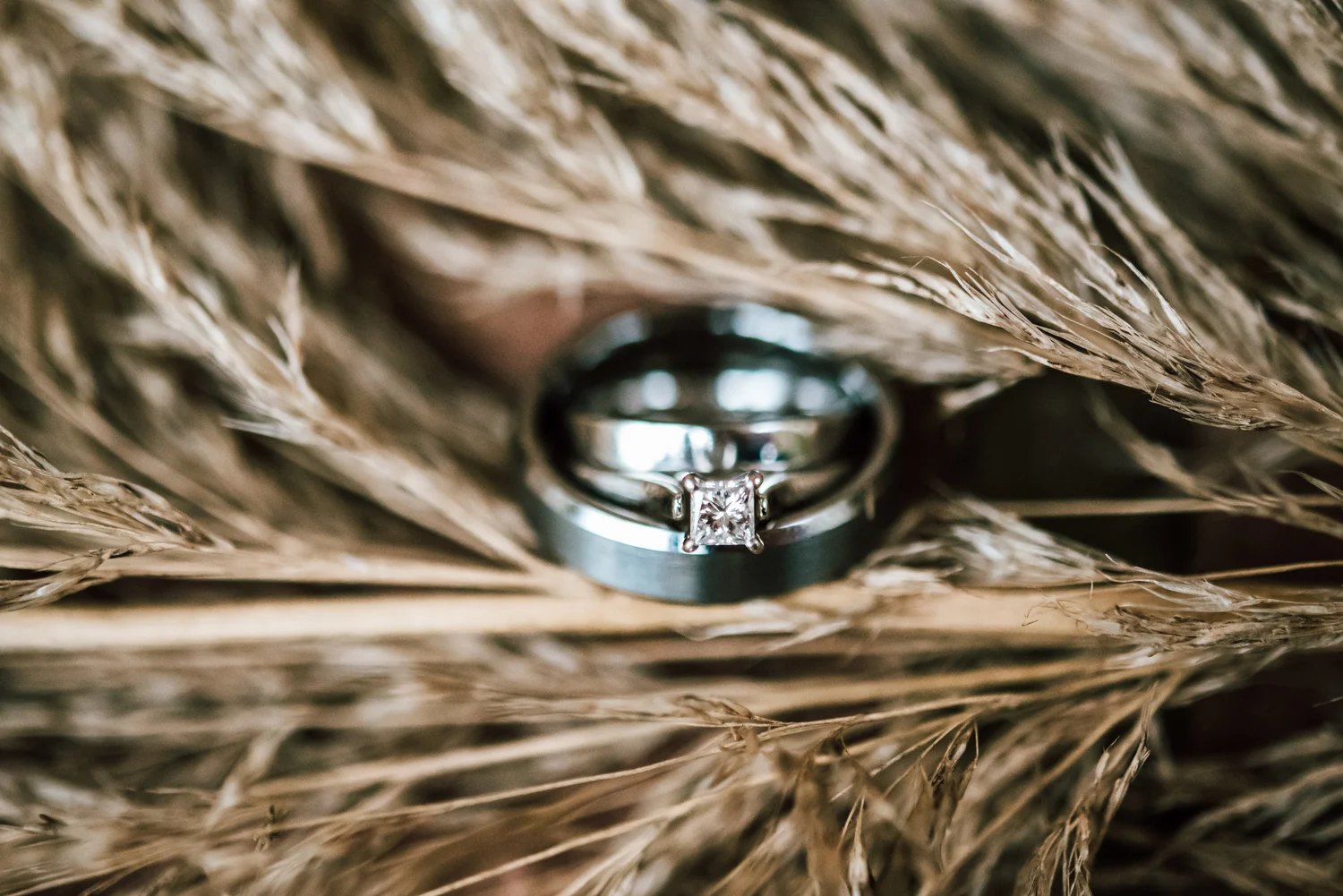 Tori & Ryan Ostrander | Intimate Wedding at Halle Plantations | Memphis ...