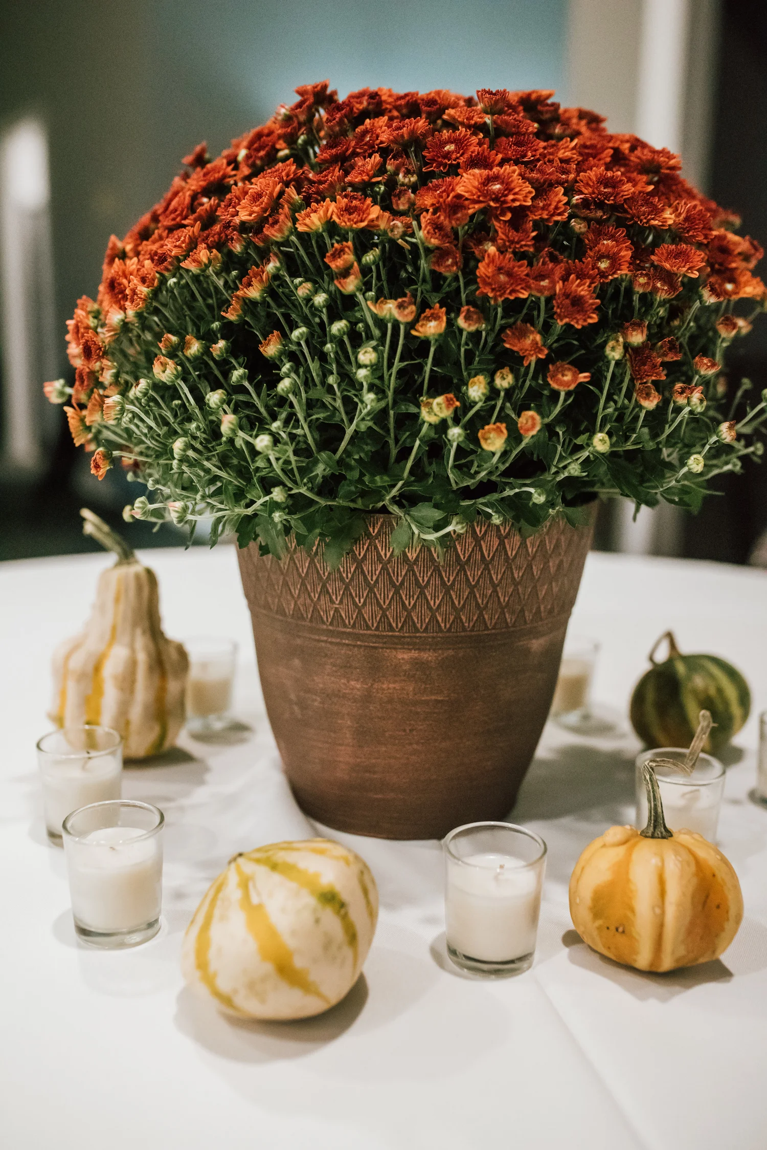 Tori & Ryan Ostrander | Intimate Wedding at Halle Plantations | Memphis ...