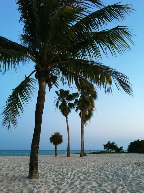 10 Must-Do Activities for a Family Vacation in Marathon, Florida - Rad ...