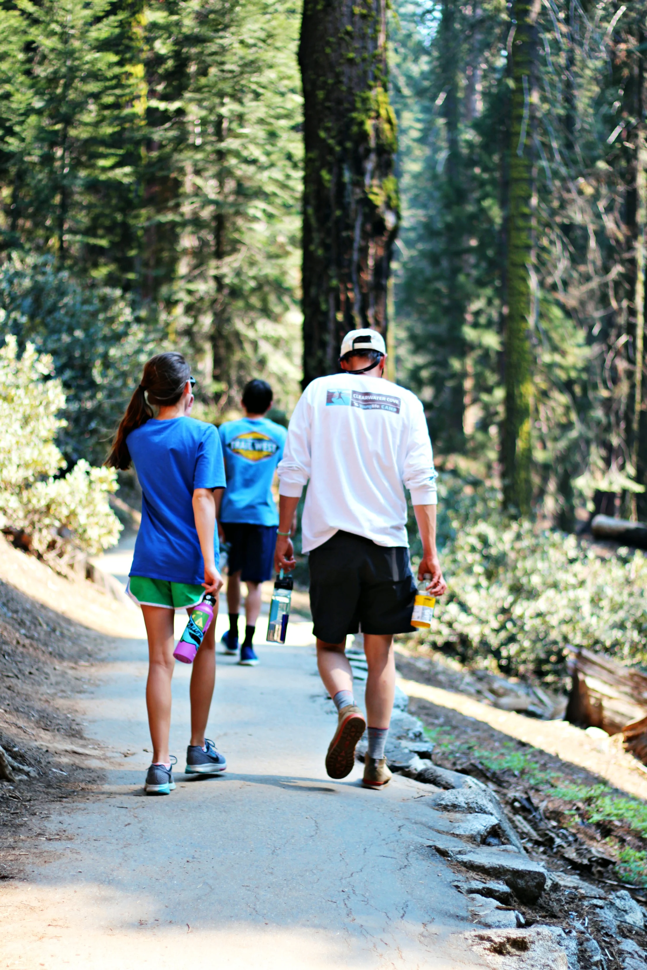 General Sherman - the superhero of Sequoia National Park - Rad Family ...