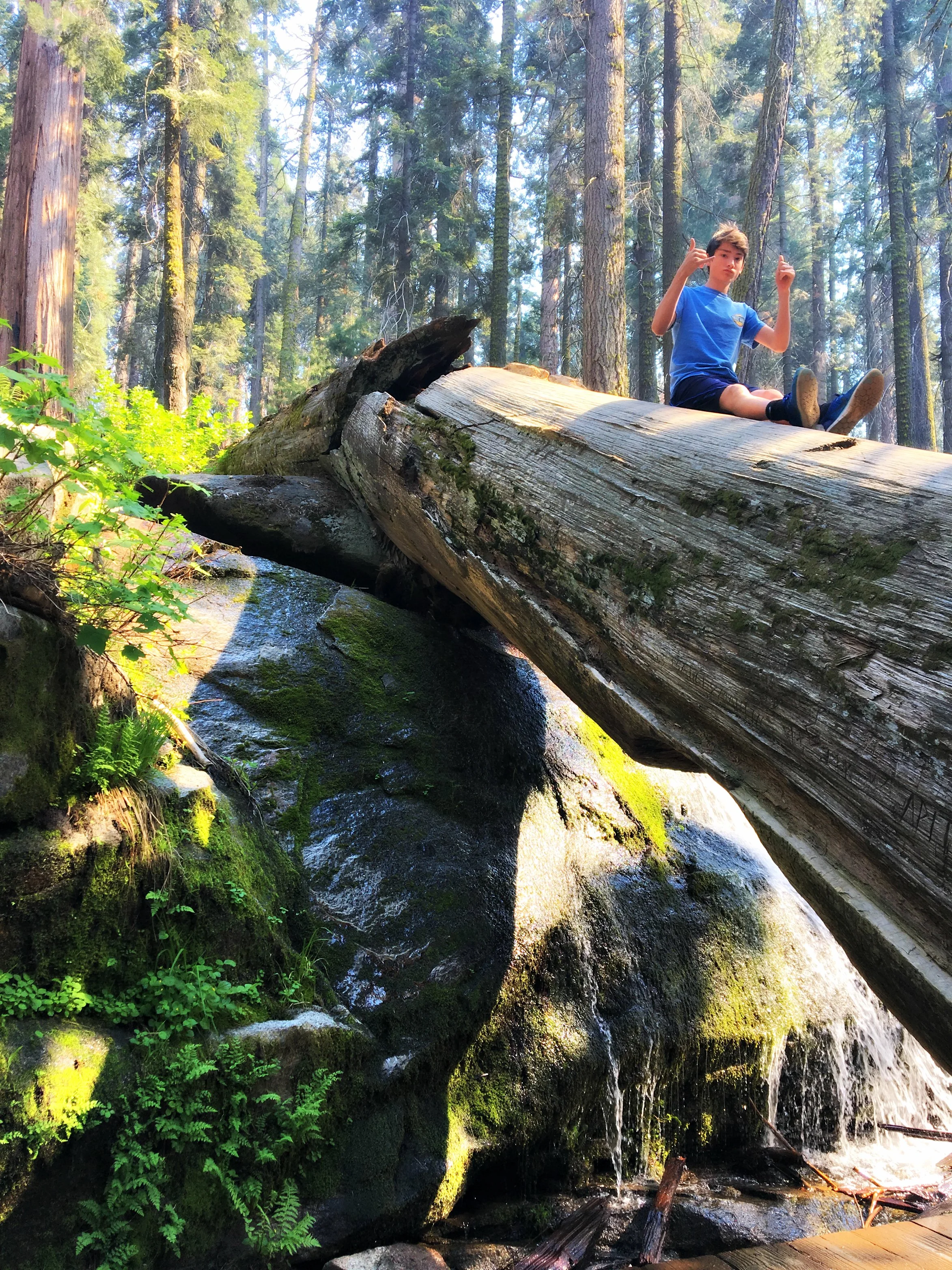 General Sherman - the superhero of Sequoia National Park - Rad Family ...