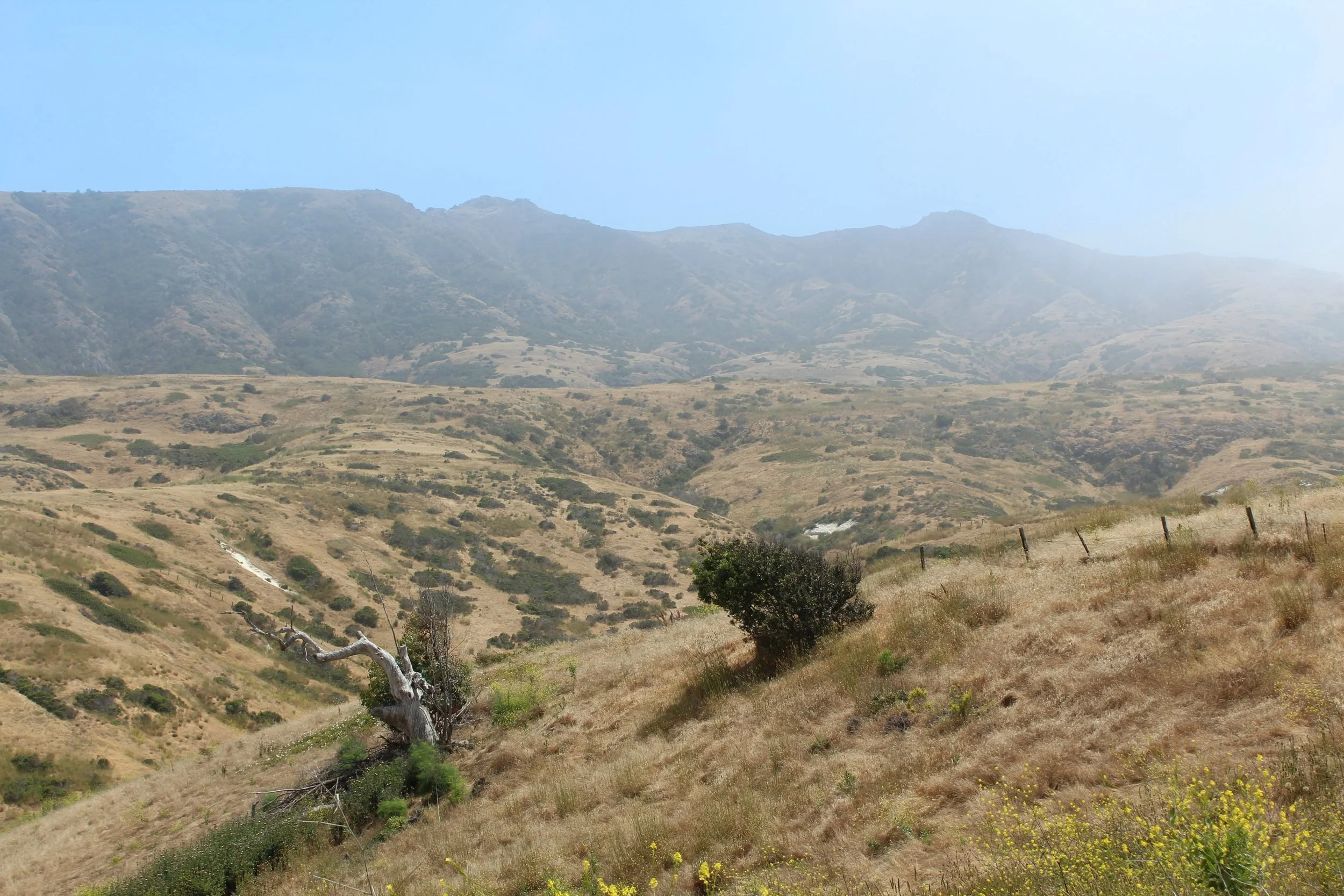 Day Trip to California’s Channel Islands National Park - Rad Family Travel