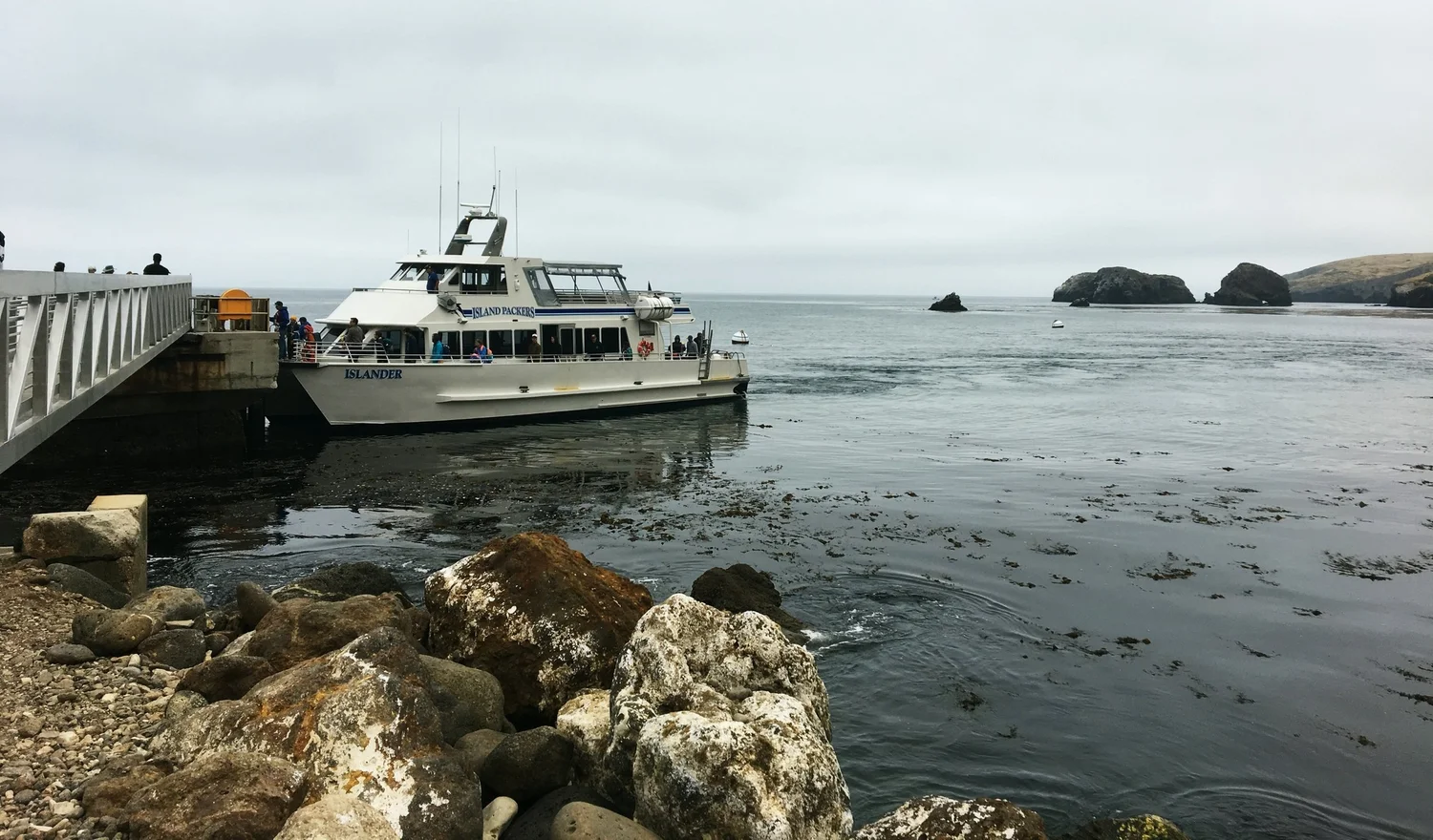 Day Trip to California’s Channel Islands National Park - Rad Family Travel
