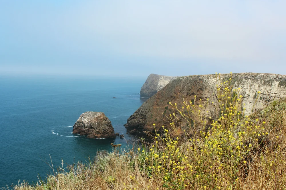 Day Trip to California’s Channel Islands National Park - Rad Family Travel