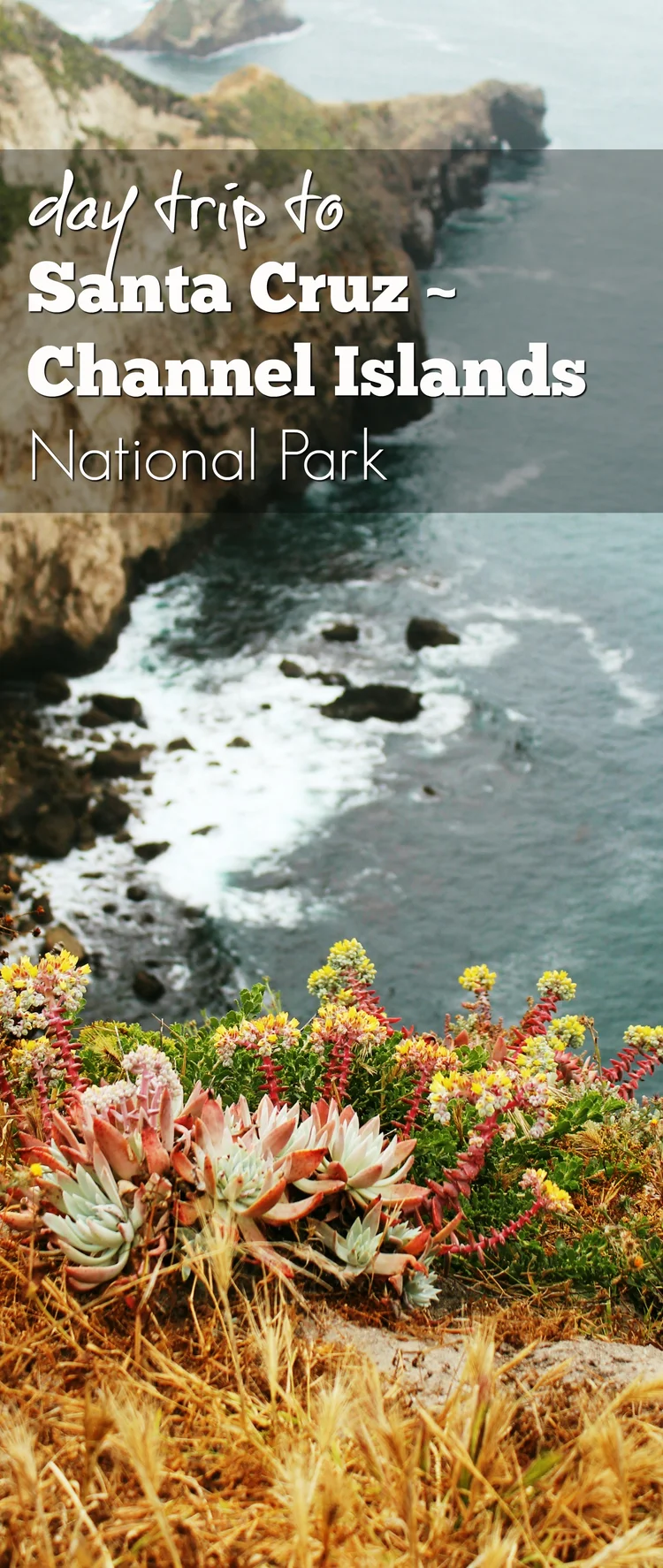 Day Trip to California’s Channel Islands National Park - Rad Family Travel