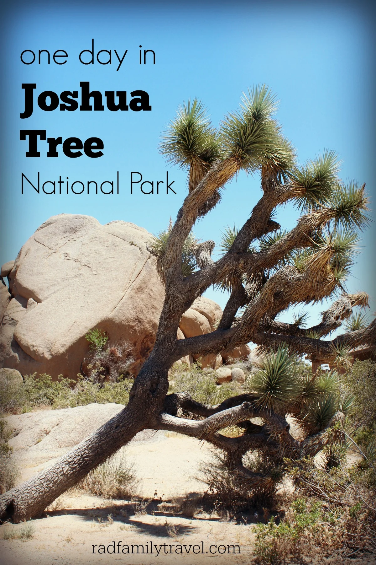 Day trip to Joshua Tree National Park - Rad Family Travel