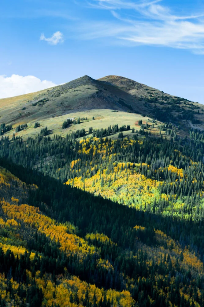 Your Key to Colorado Aspens in Fall and Scenic Drives That Will Take ...