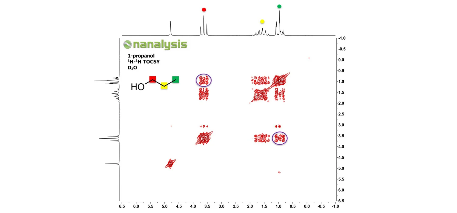 Getting COSY with the TOCSY Experiment — Nanalysis