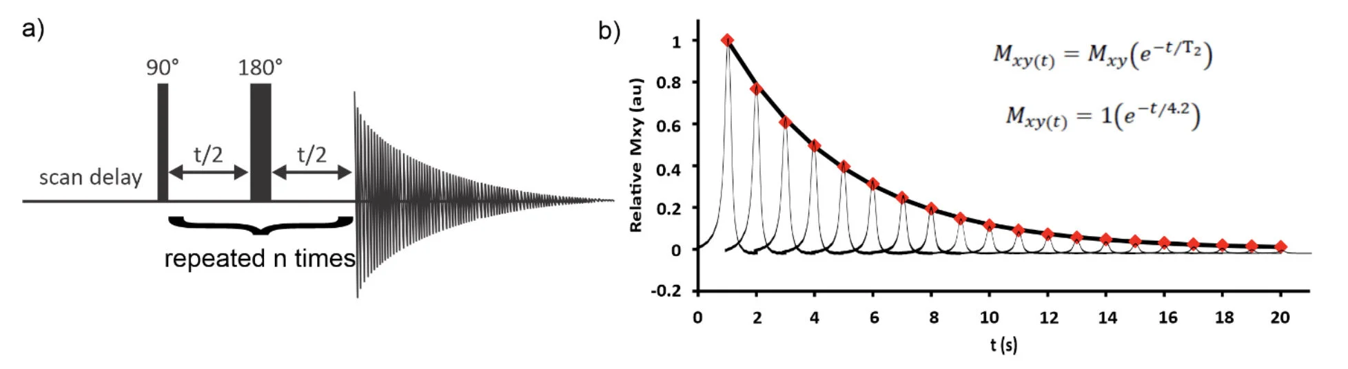 Part 2 – T2 relaxation: definition, measurement and practical ...