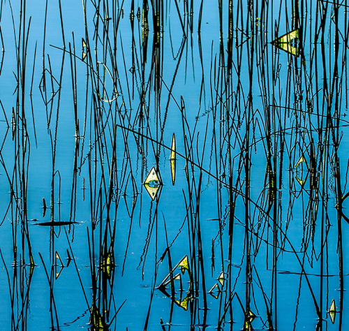 Bill Jackson_Work