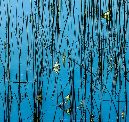 Bill Jackson_Work