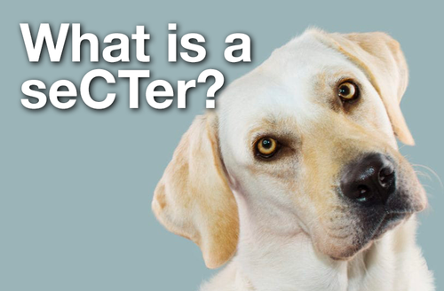 What is a seCTer? — This is Stonington