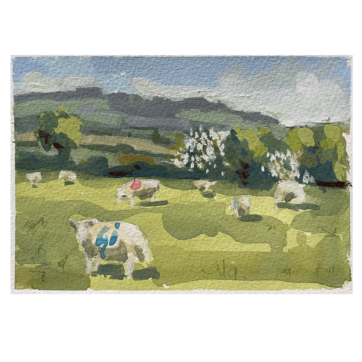 LANDSCAPE PAINTINGS — Fiona Carver artist