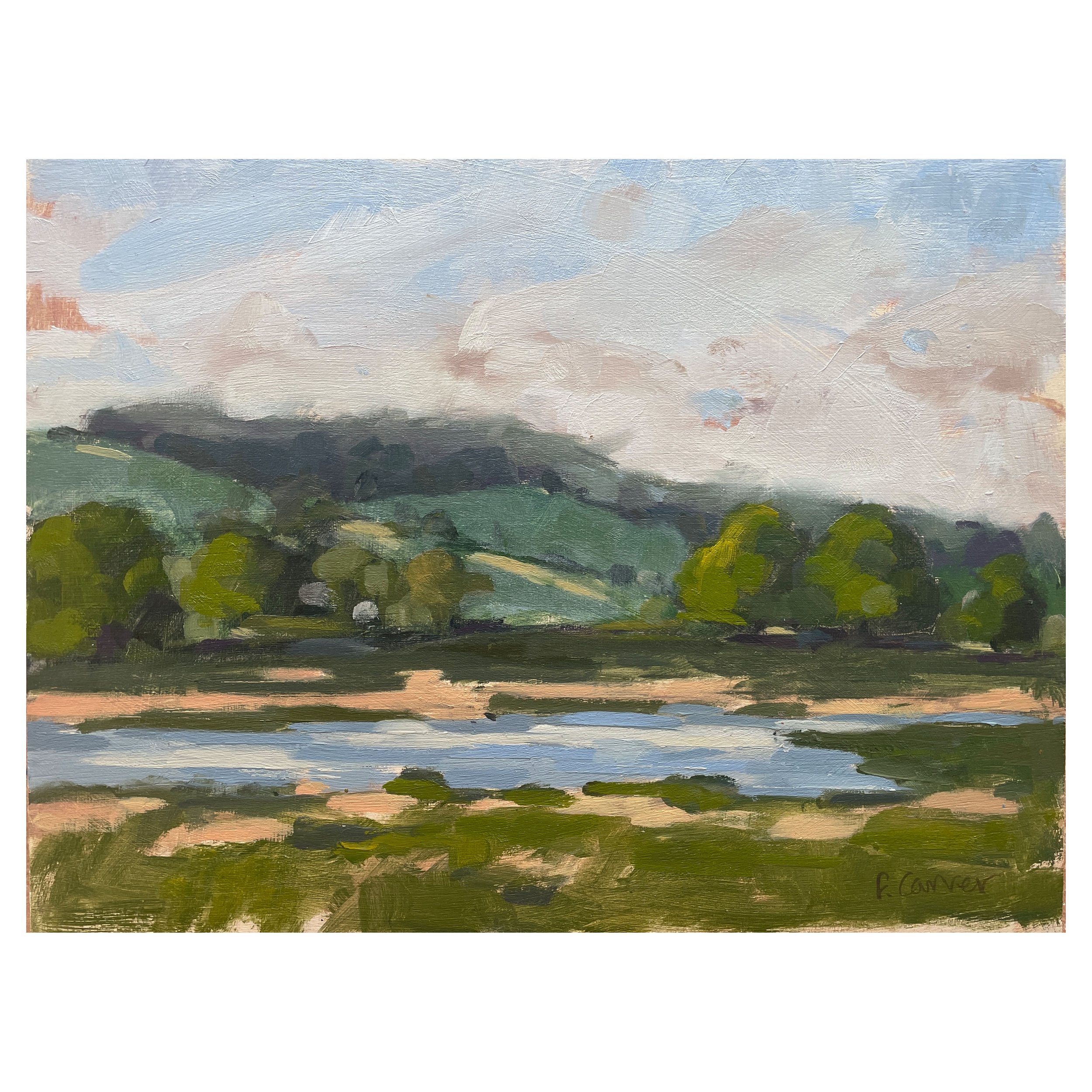 LANDSCAPE PAINTINGS — Fiona Carver artist