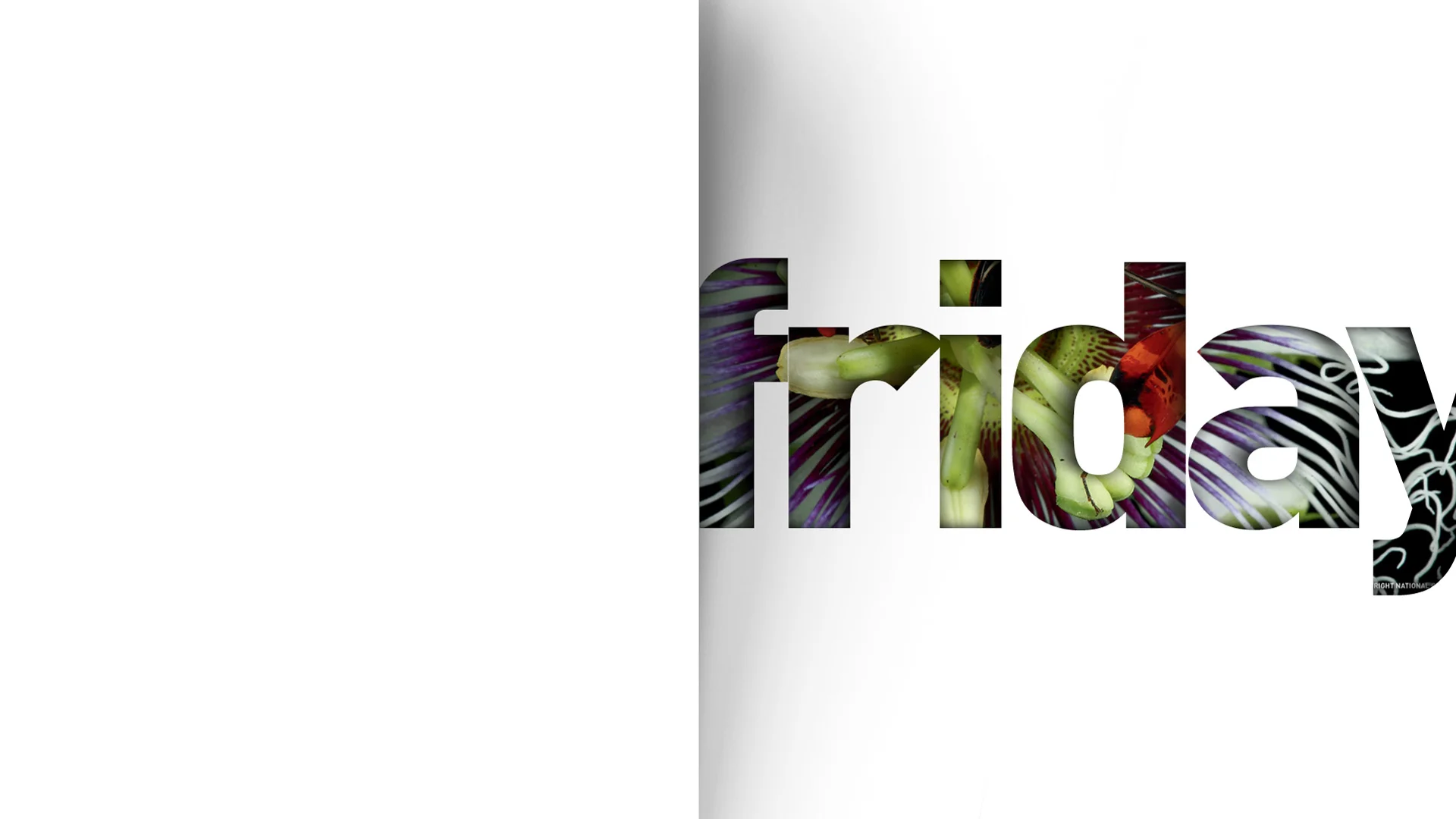 National Geographic Channel Rebrand