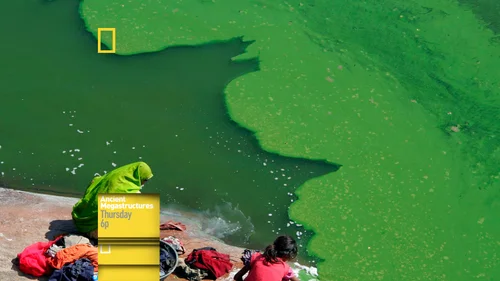 National Geographic Channel Rebrand