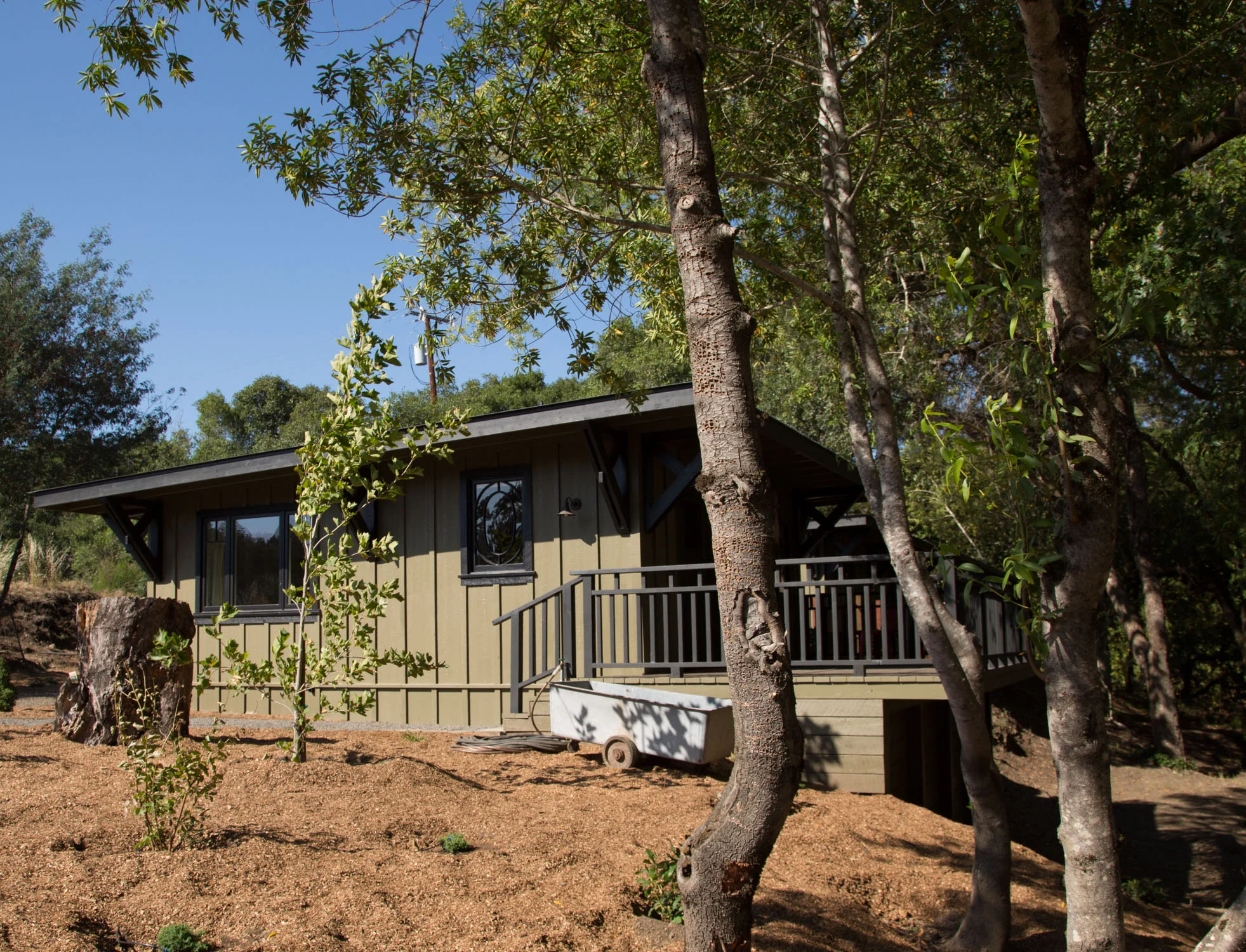 The Brambles — The Madrones