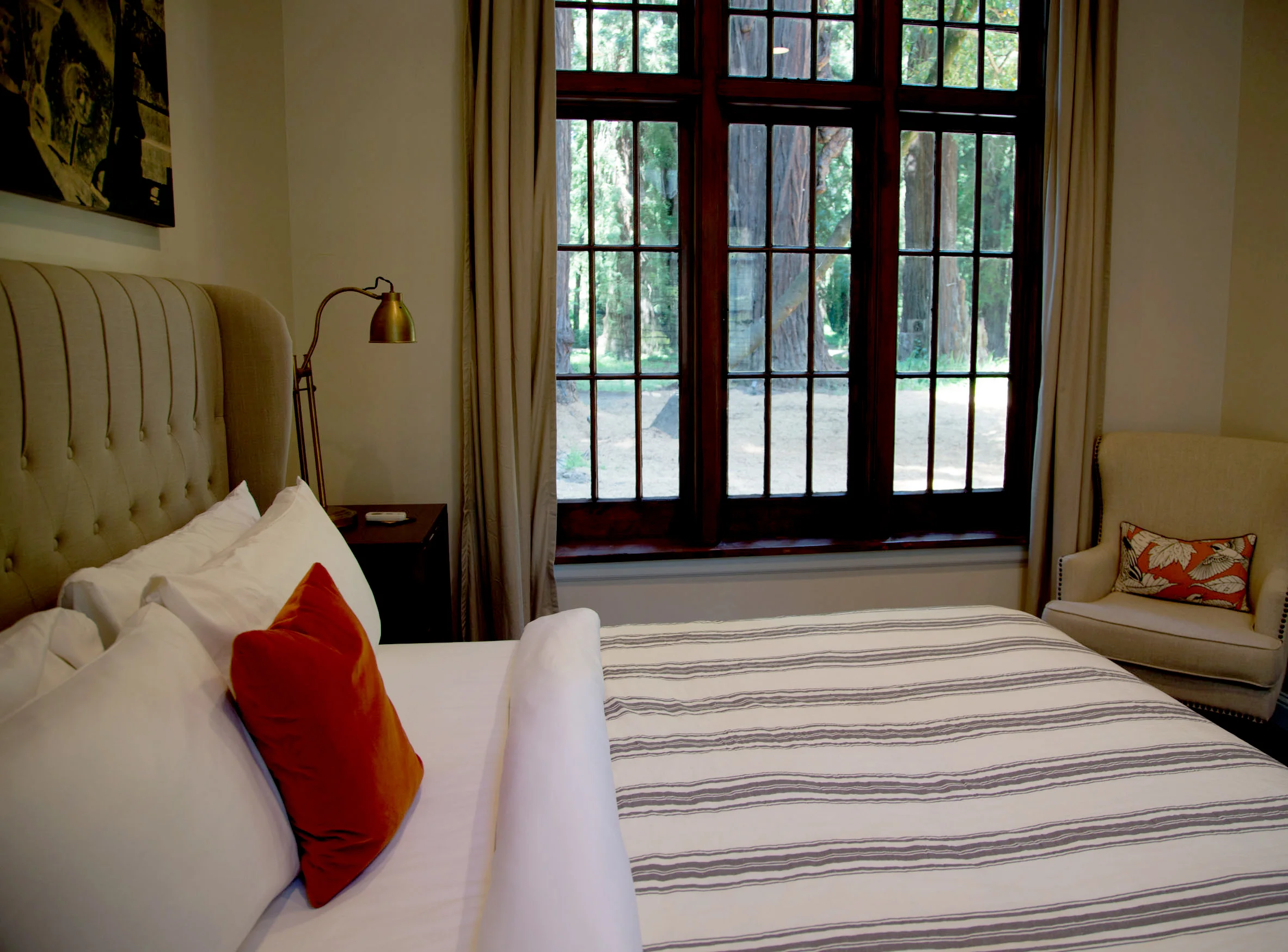 The Brambles — The Madrones