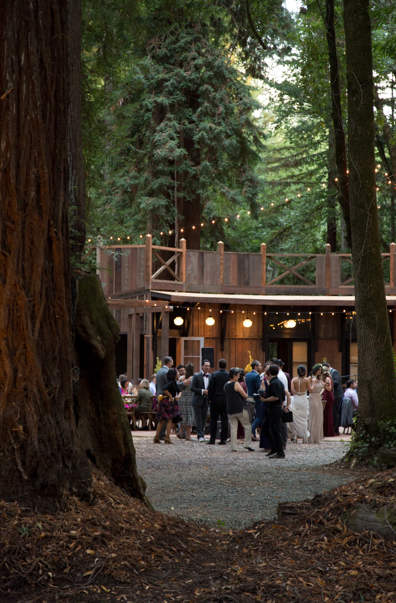 Weddings — The Madrones