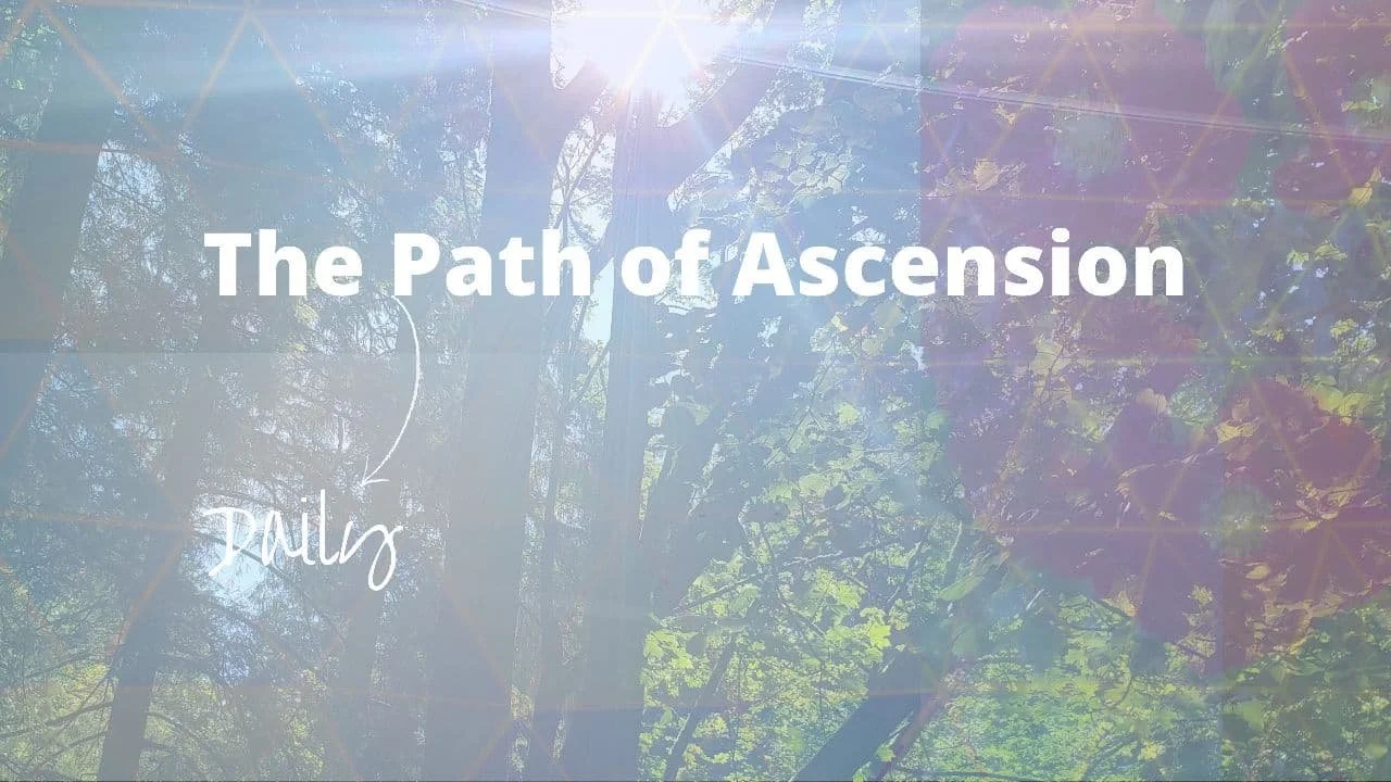 The Path of Ascension Vol. 1 - The Path of Forgiveness — Soul Ascension ...